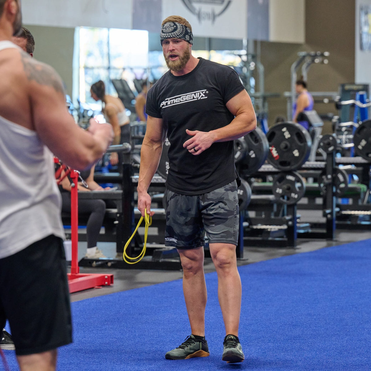 The Definitive Guide to Maintaining and Increasing Testosterone Levels ...